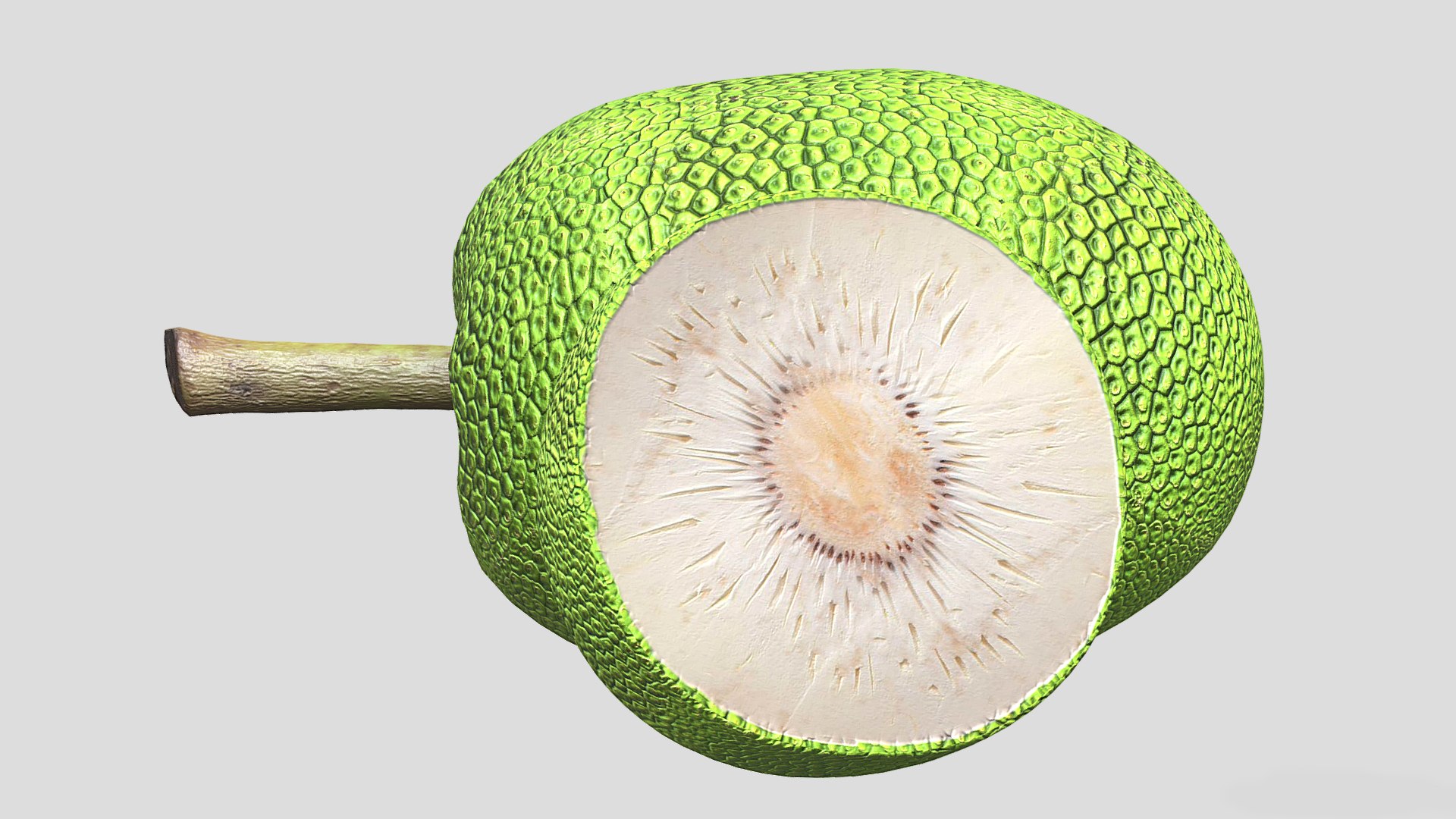 3D Fruit Breadfruit Low Poly Model - TurboSquid 2317750