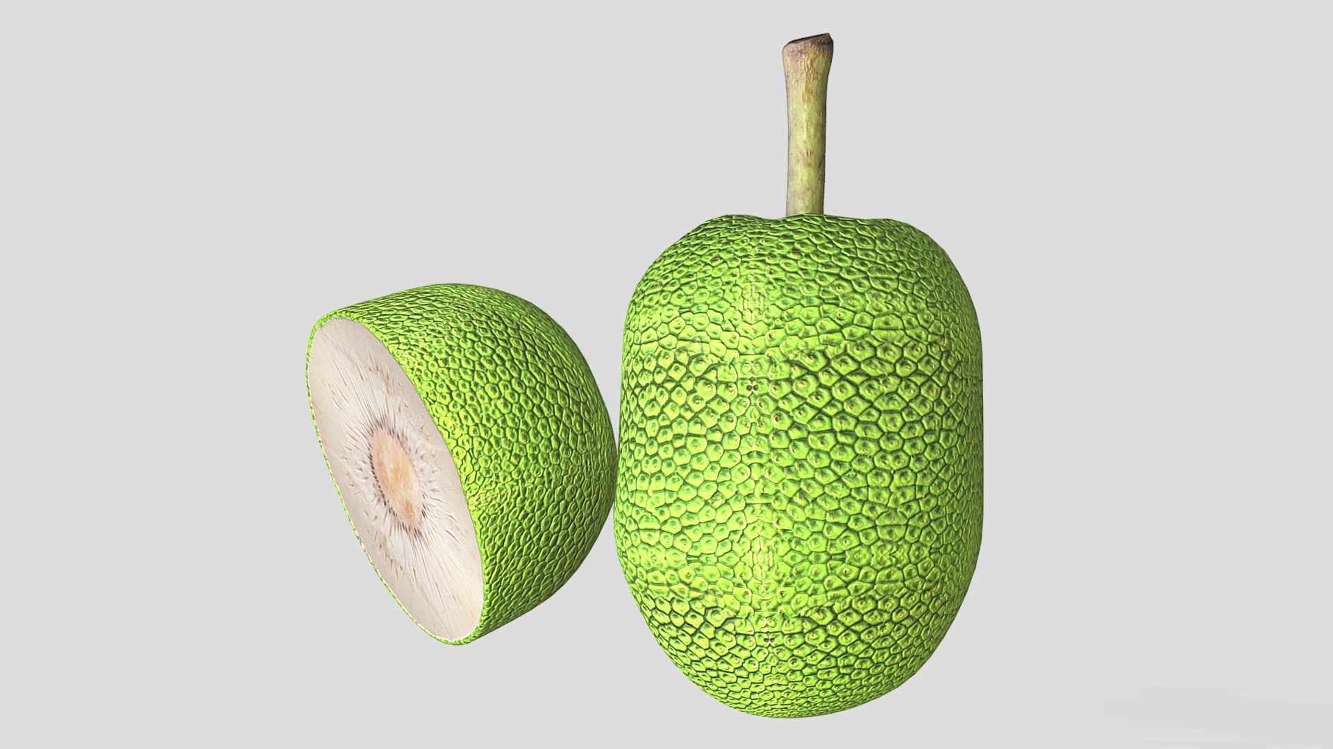 3D Fruit Breadfruit Low Poly Model - TurboSquid 2317750