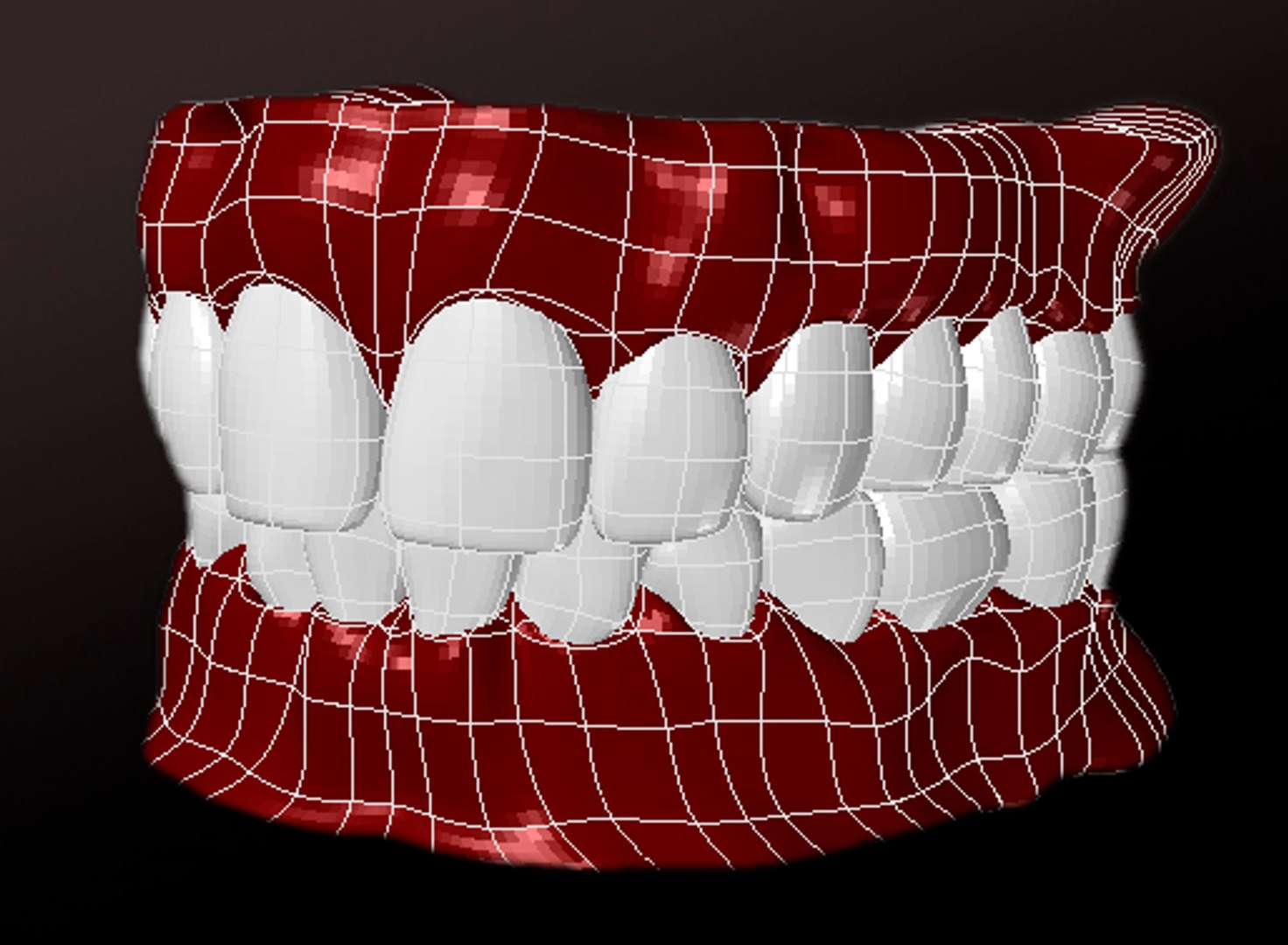 Human Teeth 3d Model