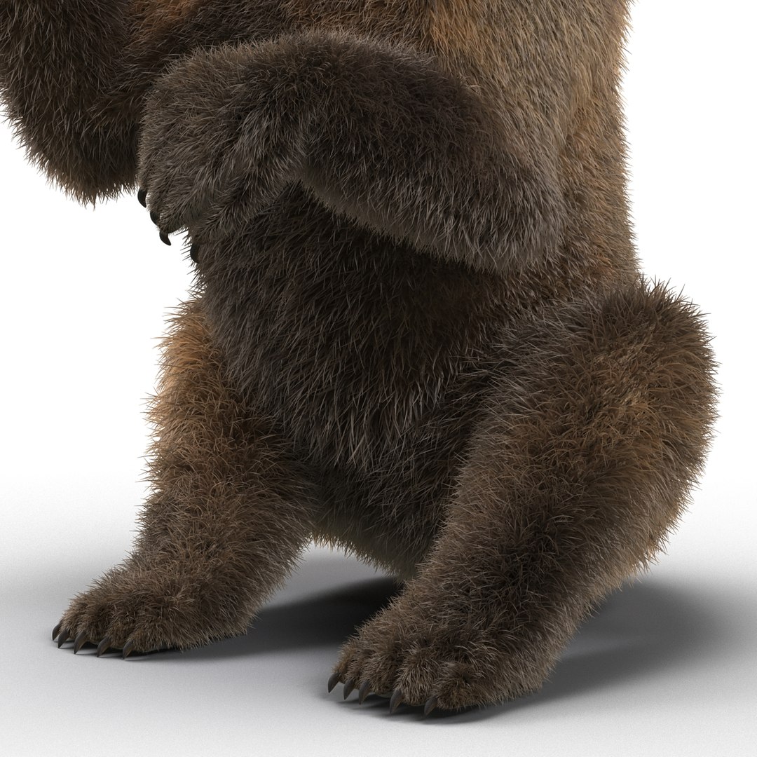 Brown Bear Fur Pose Max