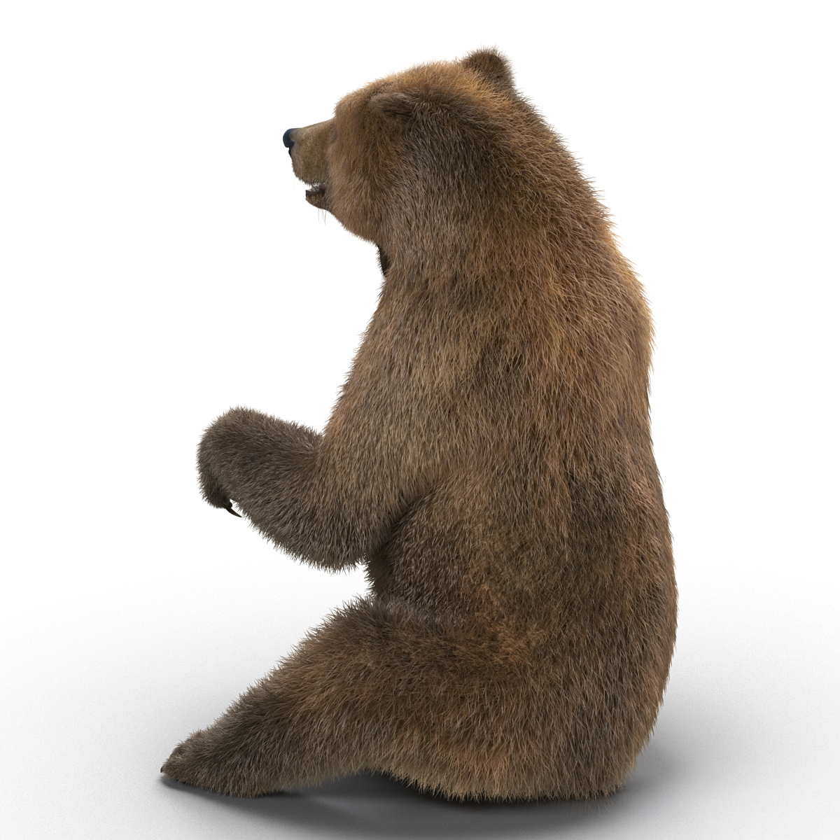 brown bear fur pose max