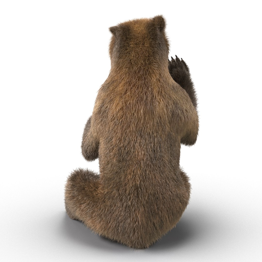 Brown Bear Fur Pose Max