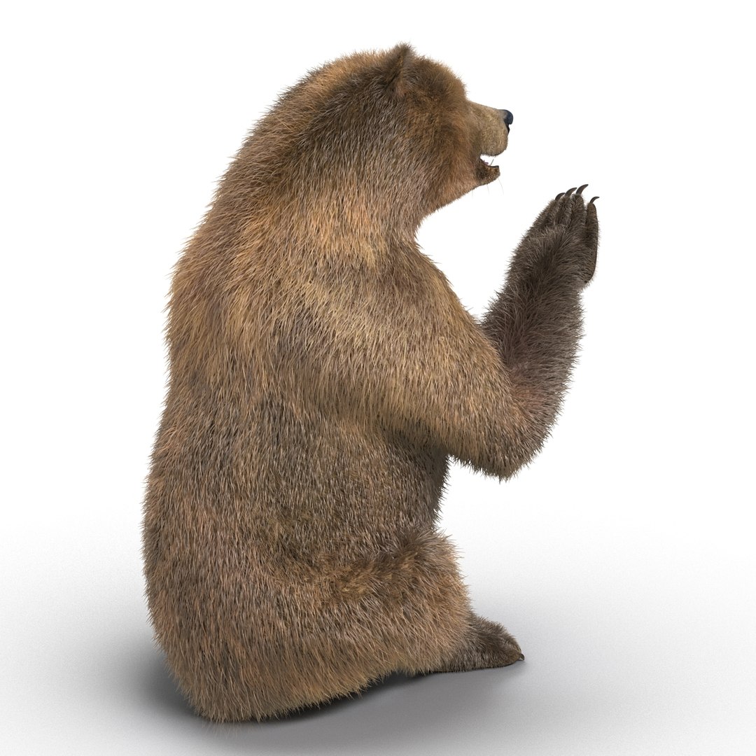 Brown Bear Fur Pose Max