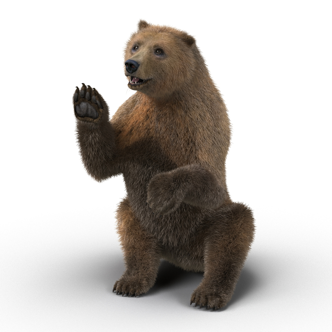 Brown Bear Fur Pose Max