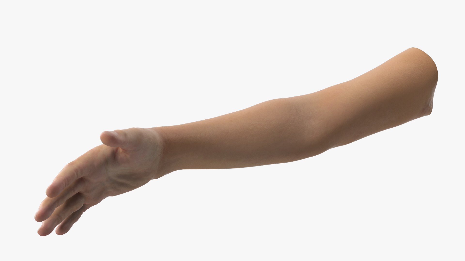 Realistic Young Boy Arm Model - TurboSquid 2287204