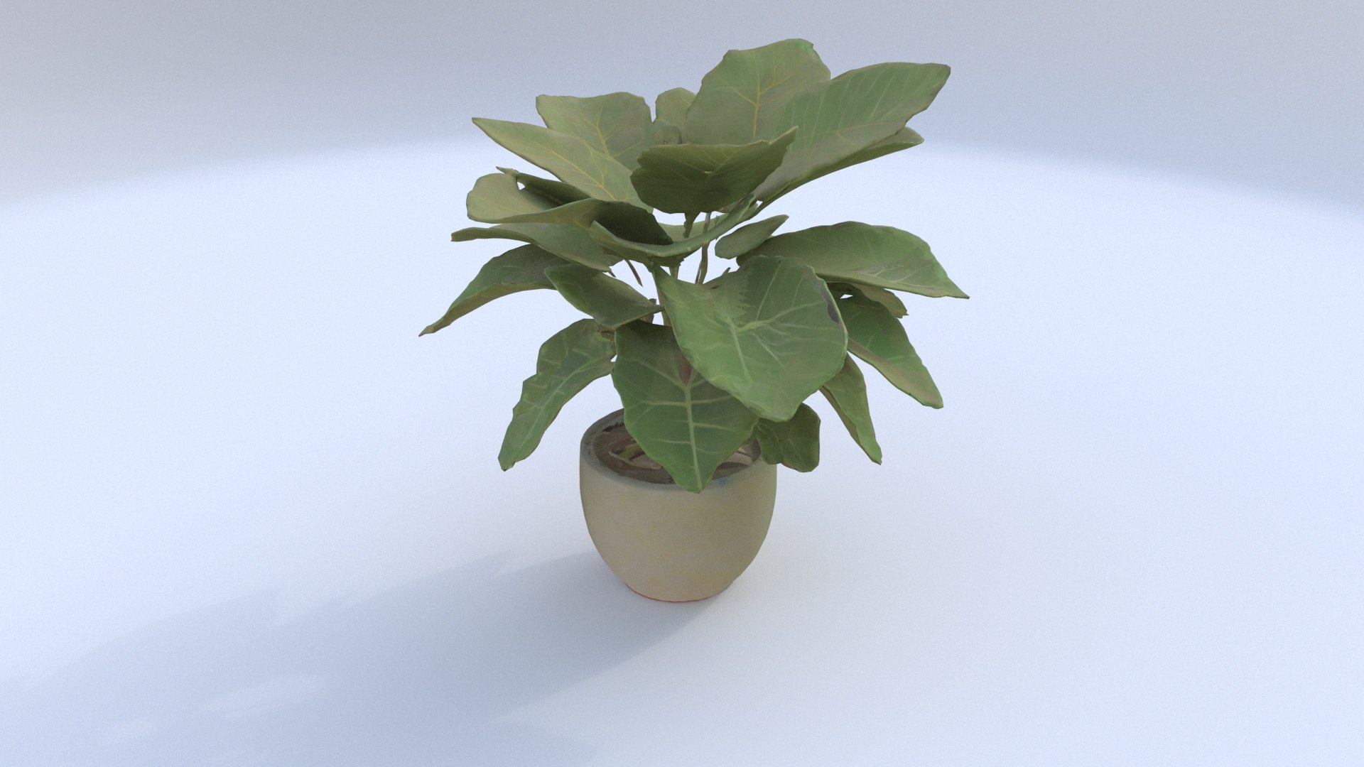 6 3D Models Of Stylised Plant Collection 3D Model - TurboSquid 2333061
