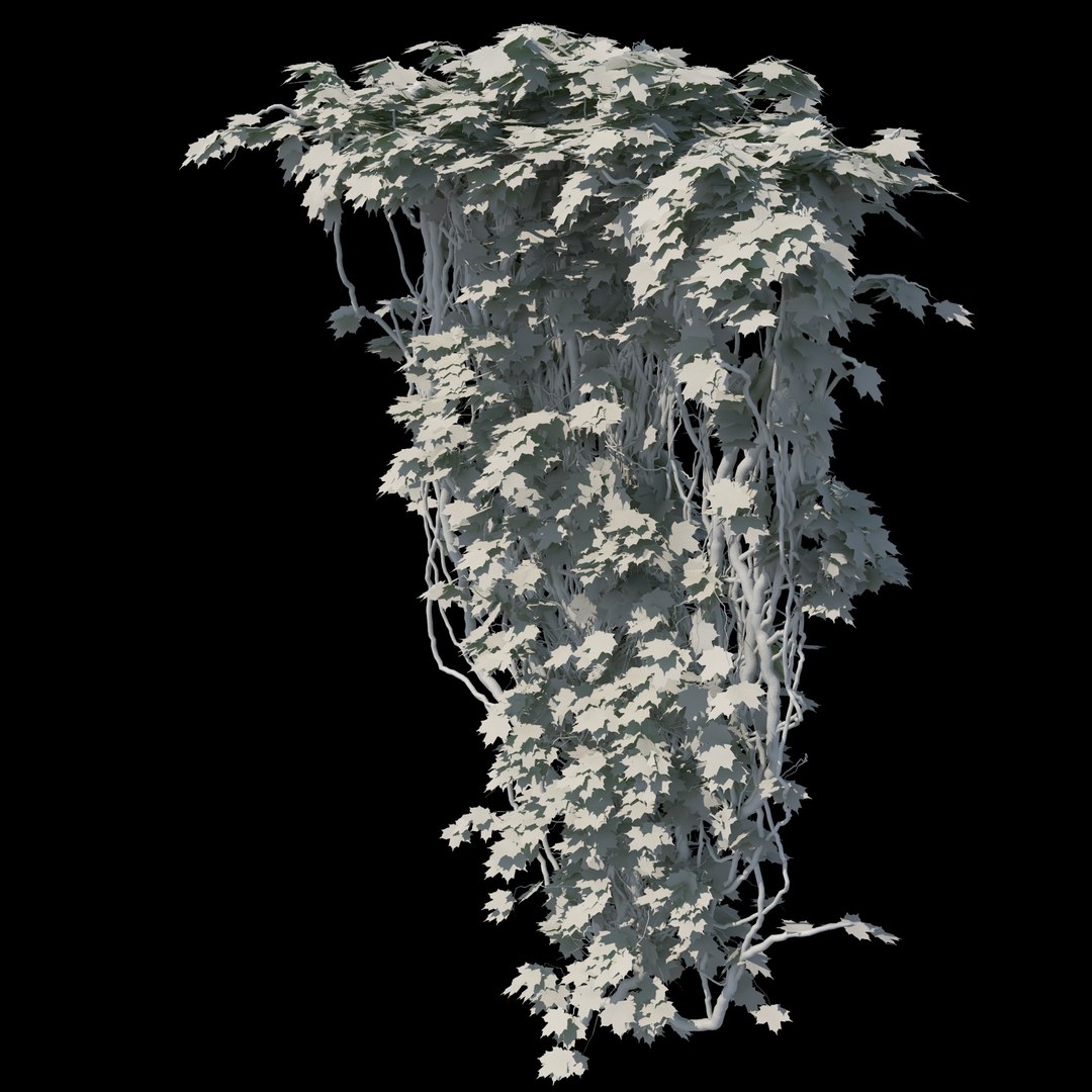 3D Realistic Ivy Wall Model - TurboSquid 1149335