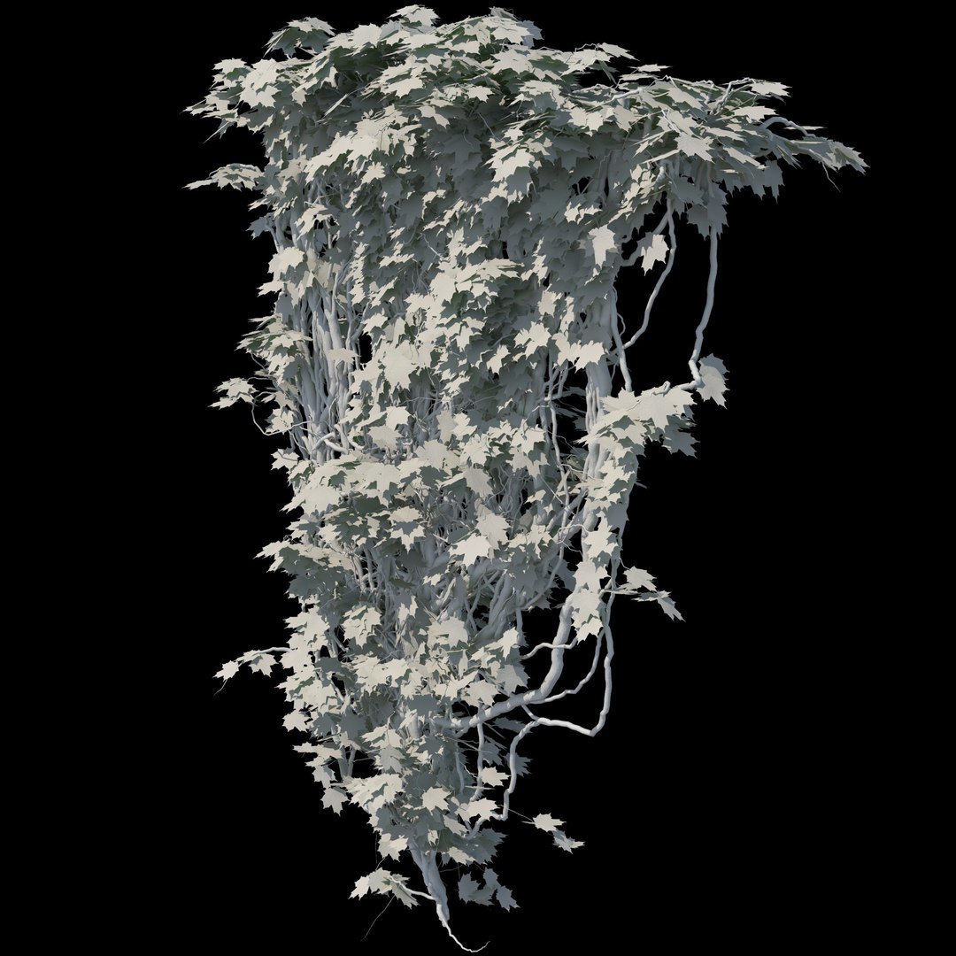 3D Realistic Ivy Wall Model - TurboSquid 1149335