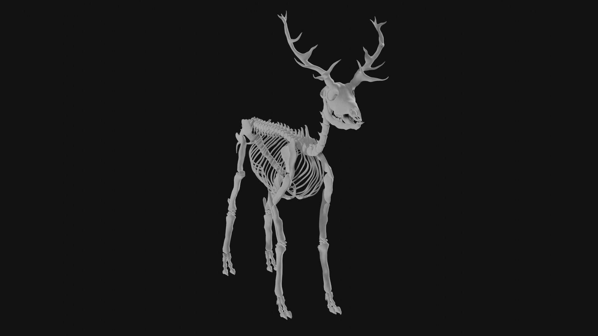 3D Elk Skeleton - TurboSquid 1983381