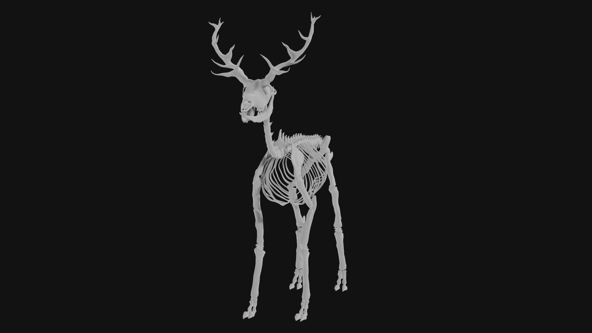 3D Elk Skeleton - TurboSquid 1983381