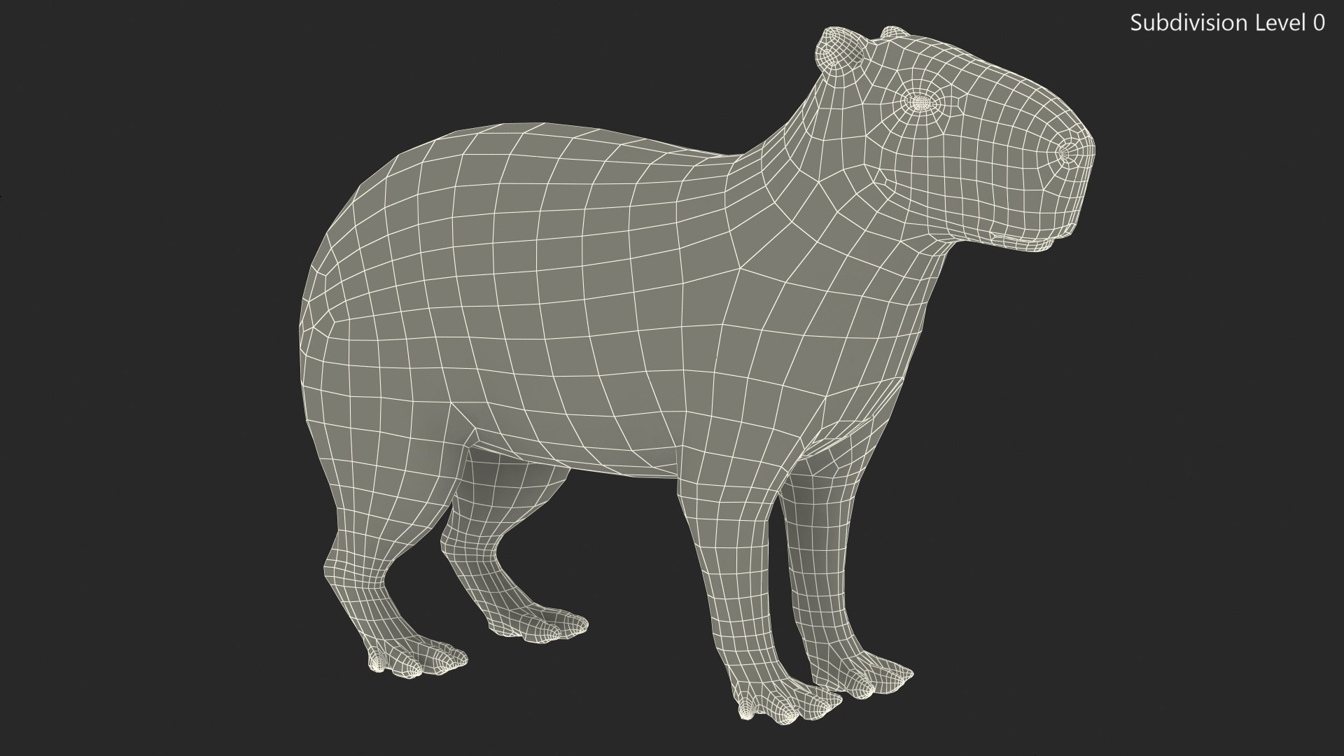 Capybara Fur 3D Model - TurboSquid 1943508