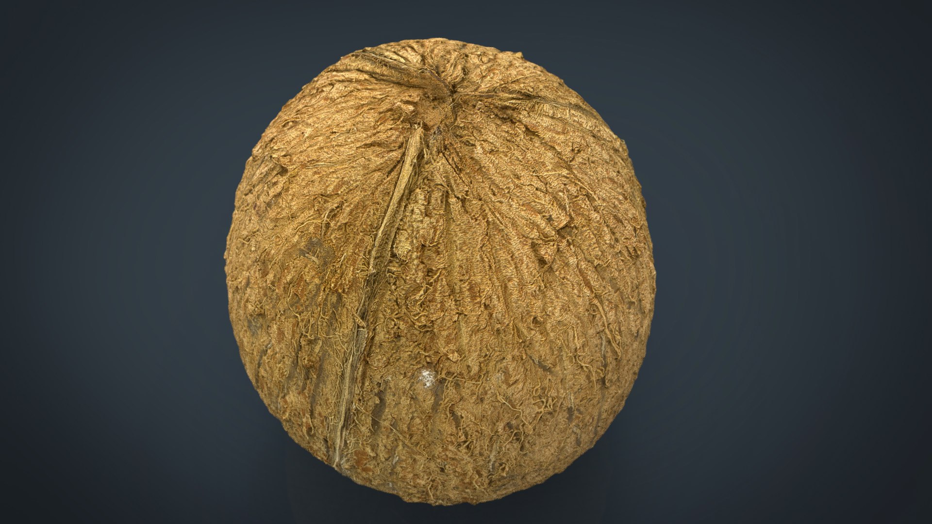 3d Model Coconut