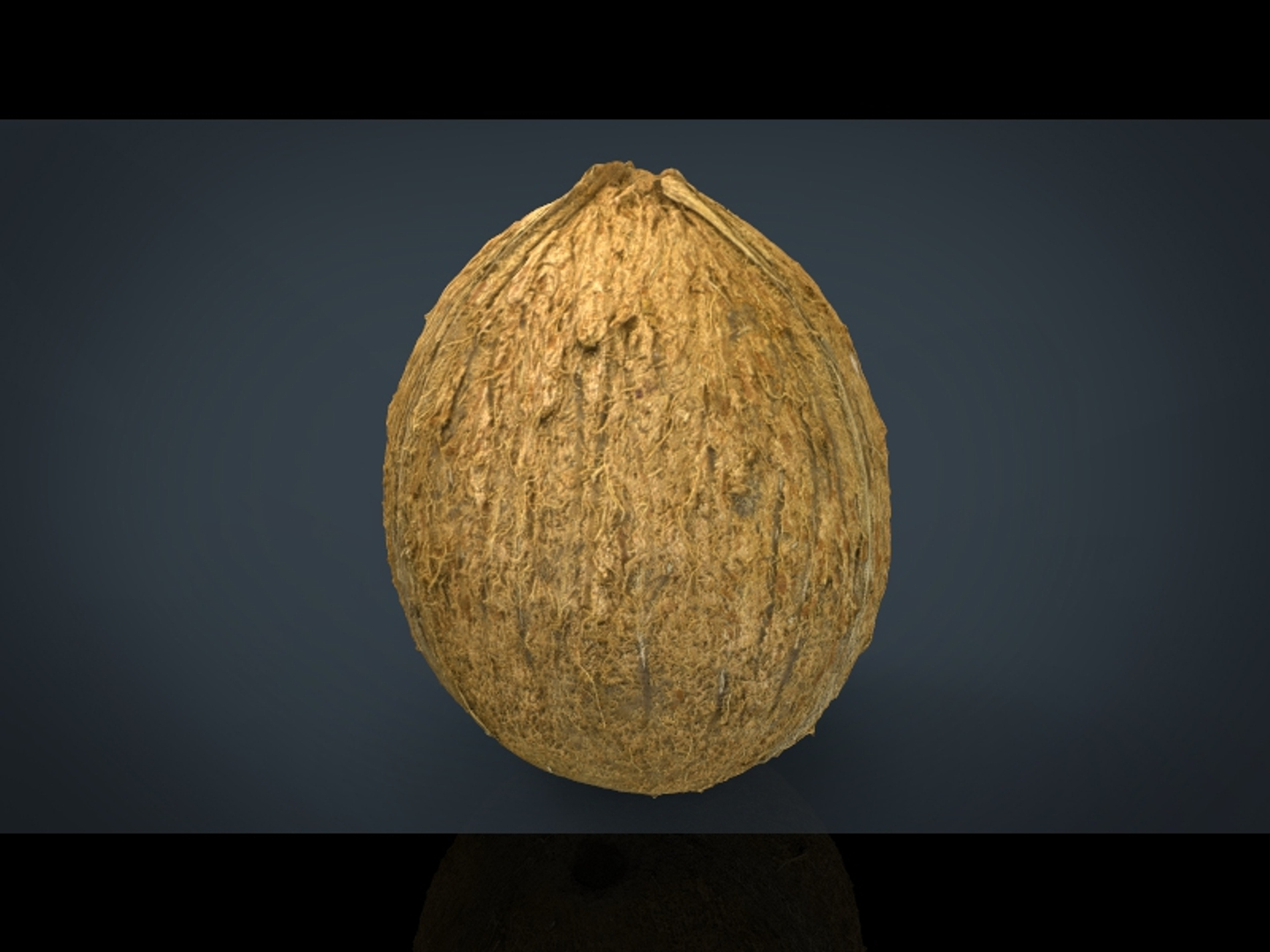 3d Model Coconut