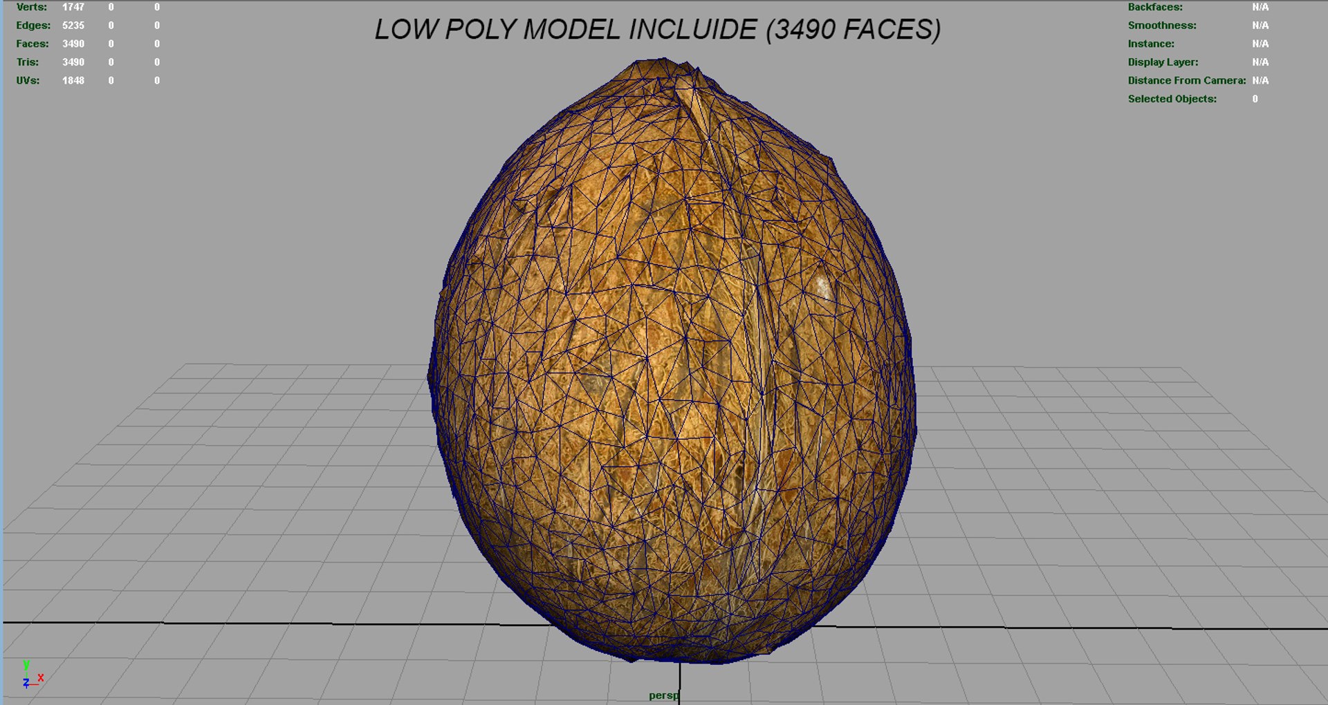 3d Model Coconut