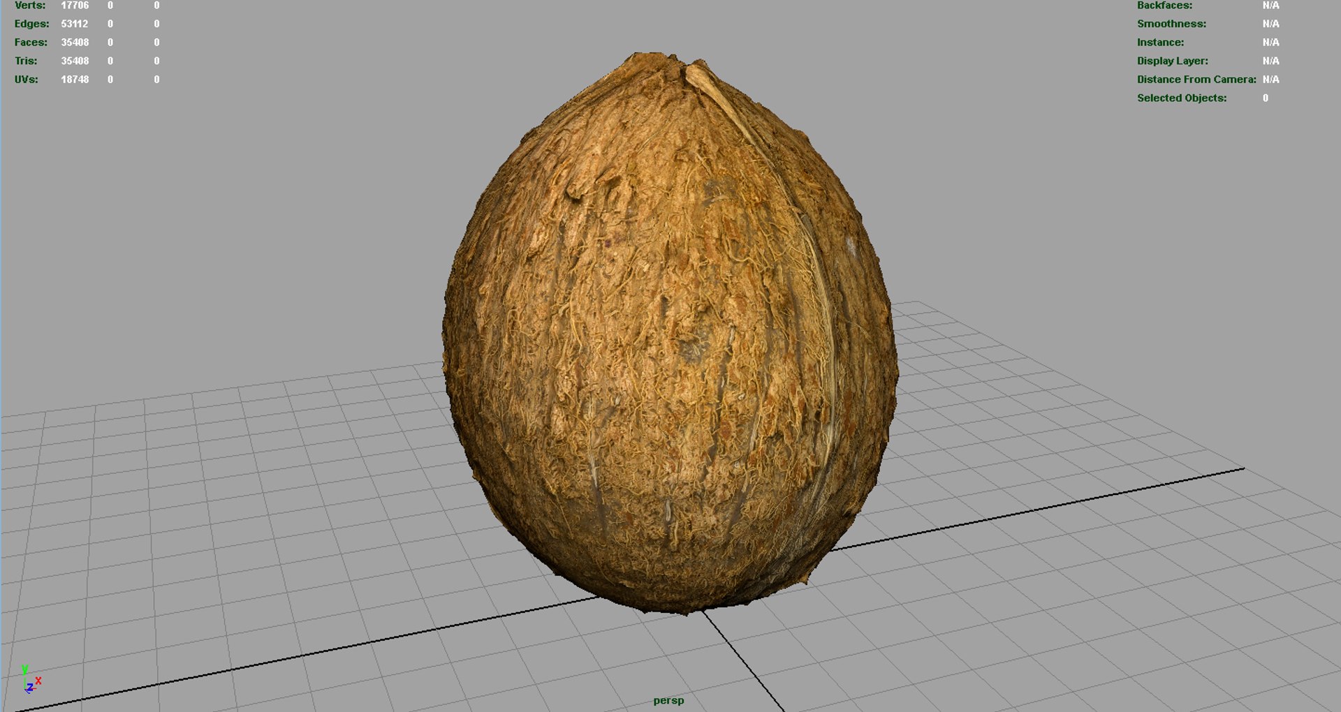 3d Model Coconut