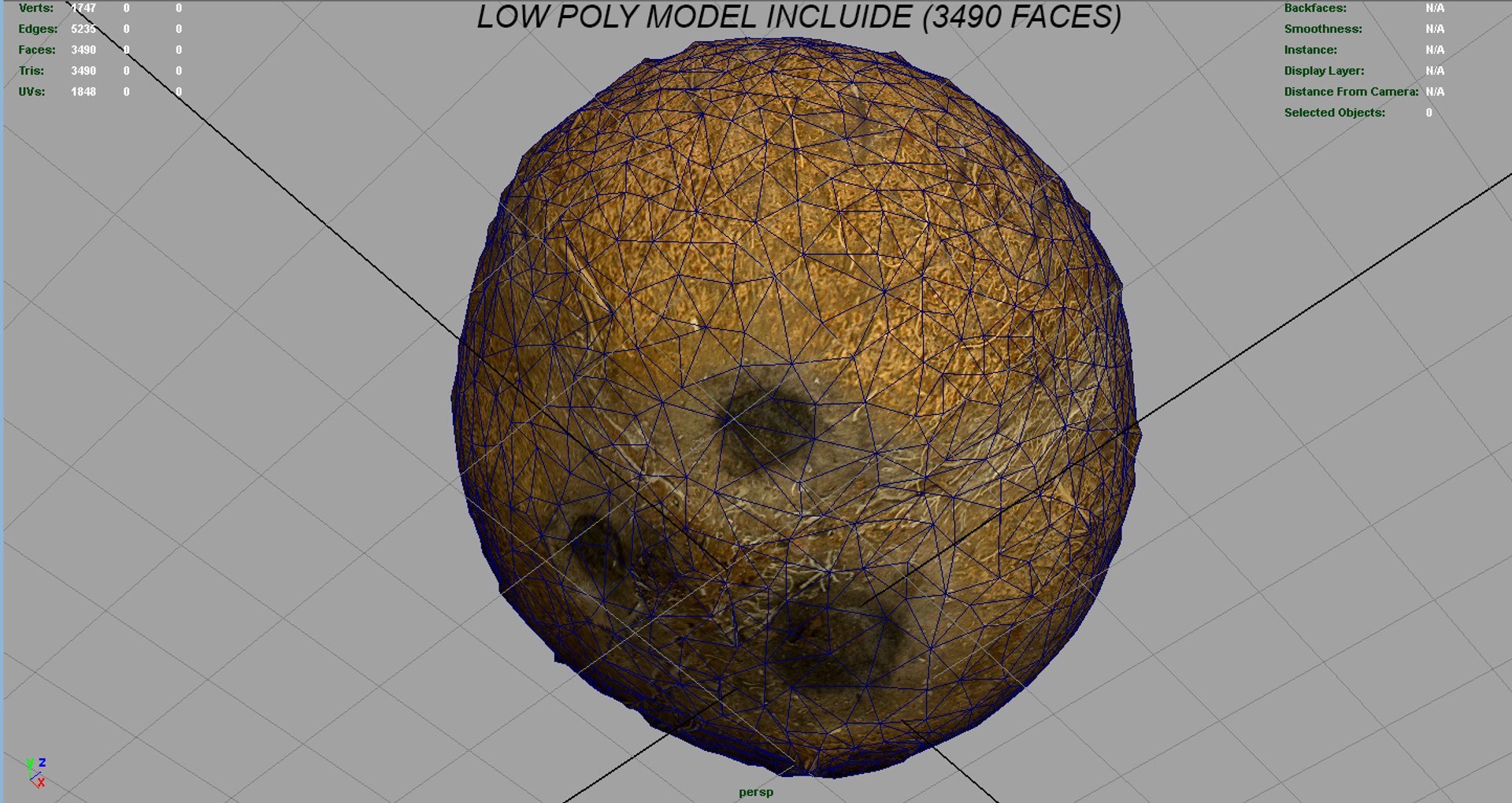 3d Model Coconut