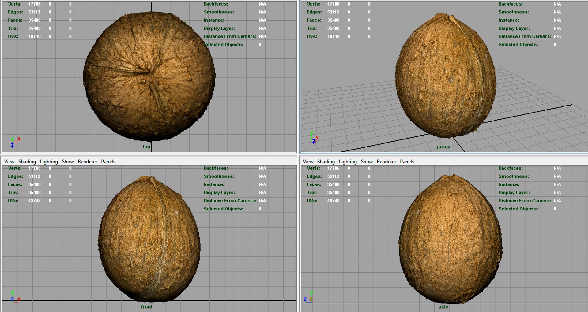 3d Model Coconut