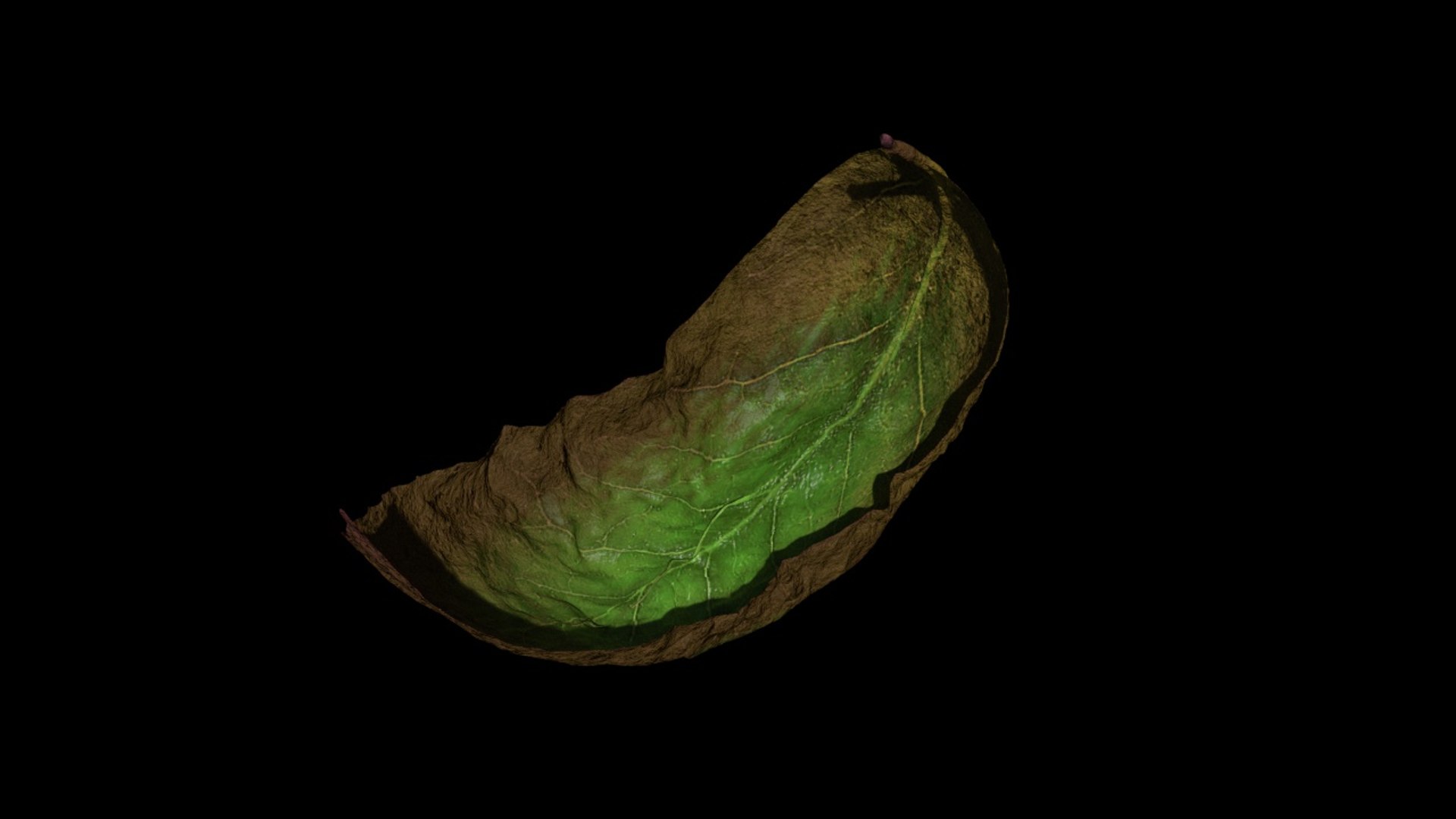 3D Tea Leaf Animation - TurboSquid 1538904