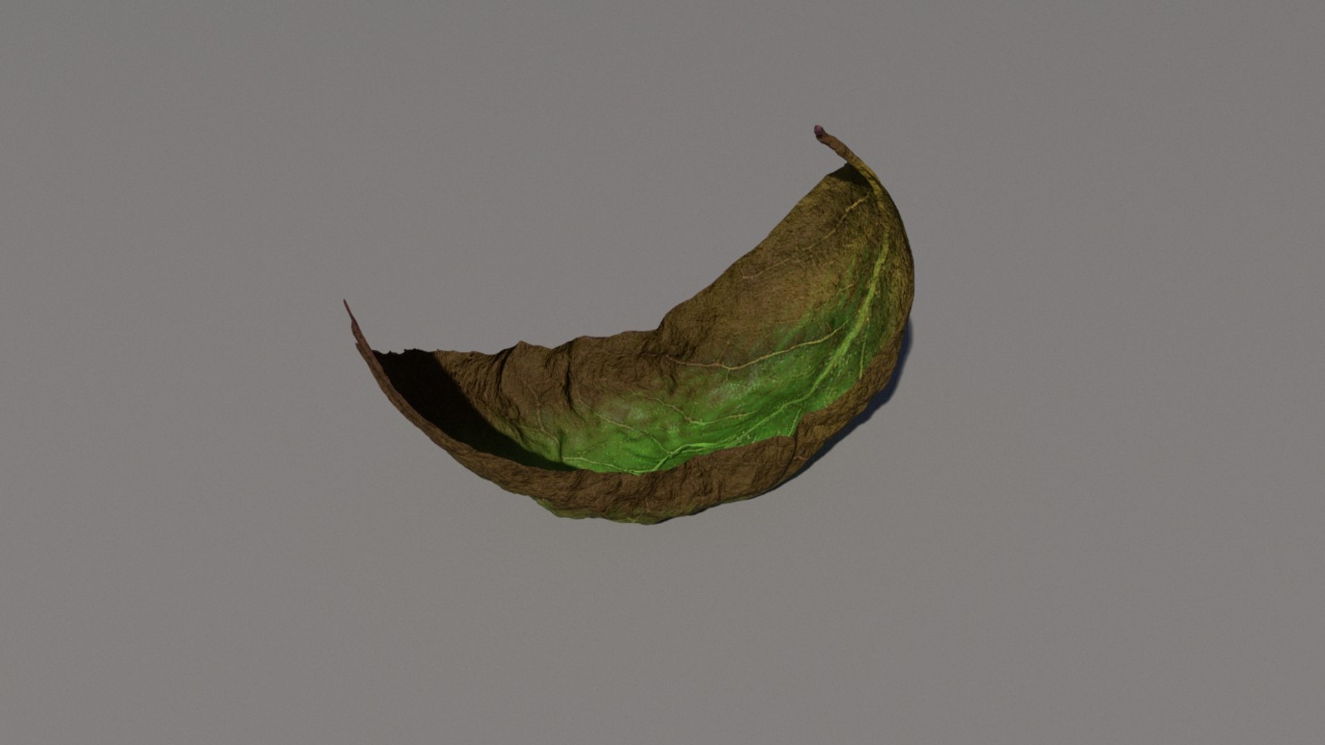 3D Tea Leaf Animation - TurboSquid 1538904