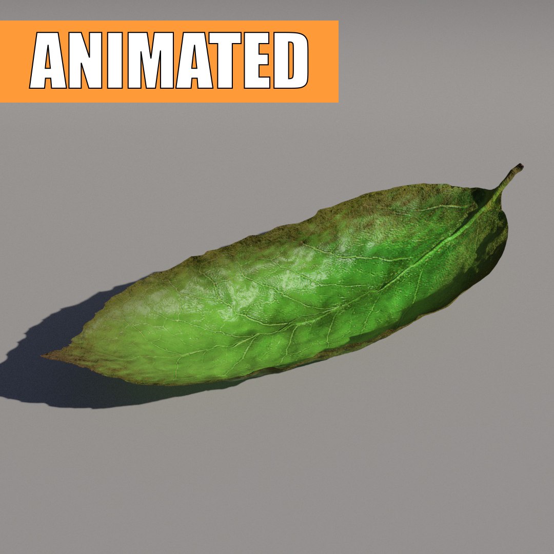 3D Tea Leaf Animation - TurboSquid 1538904