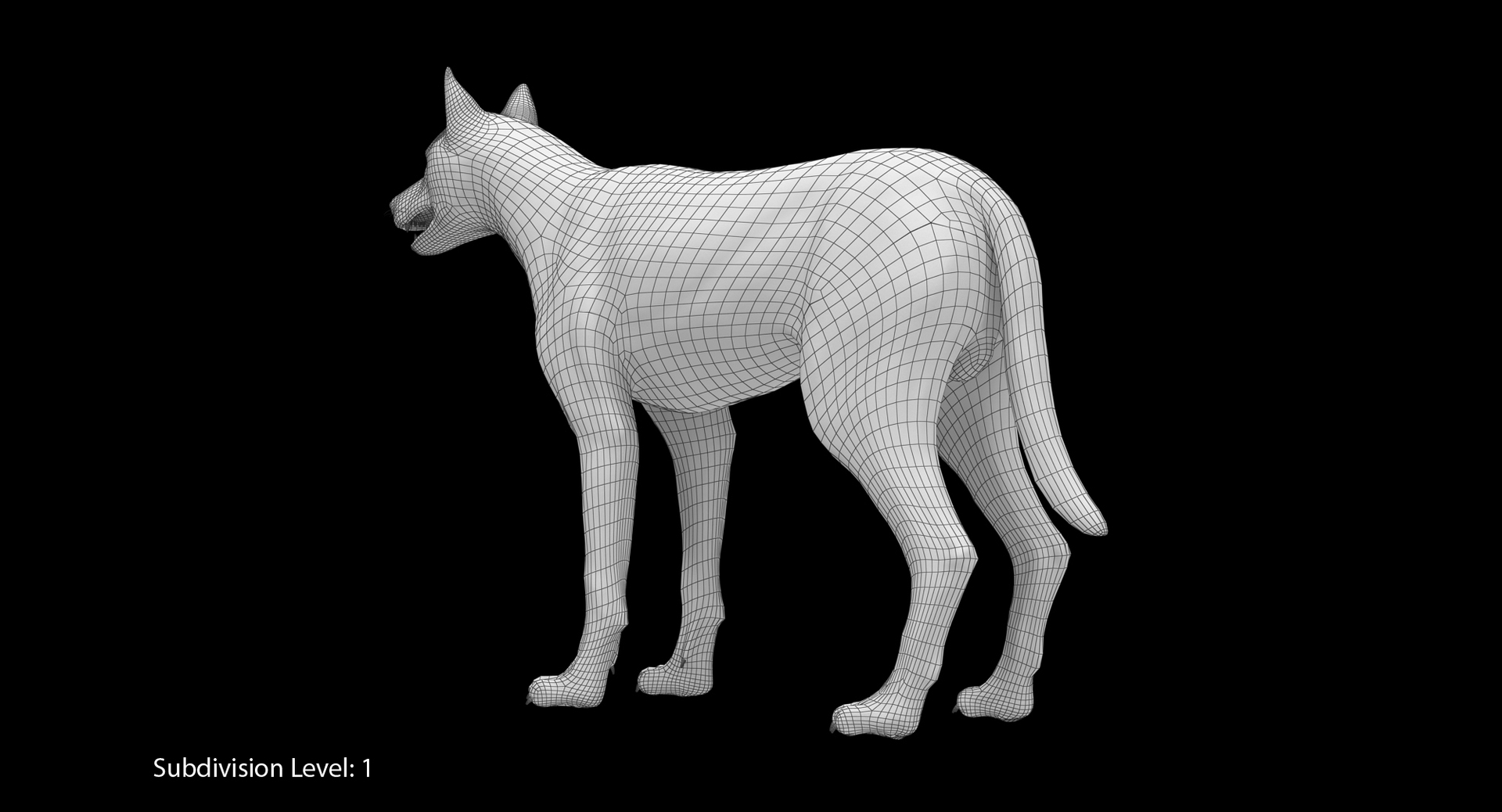3d model wolf white