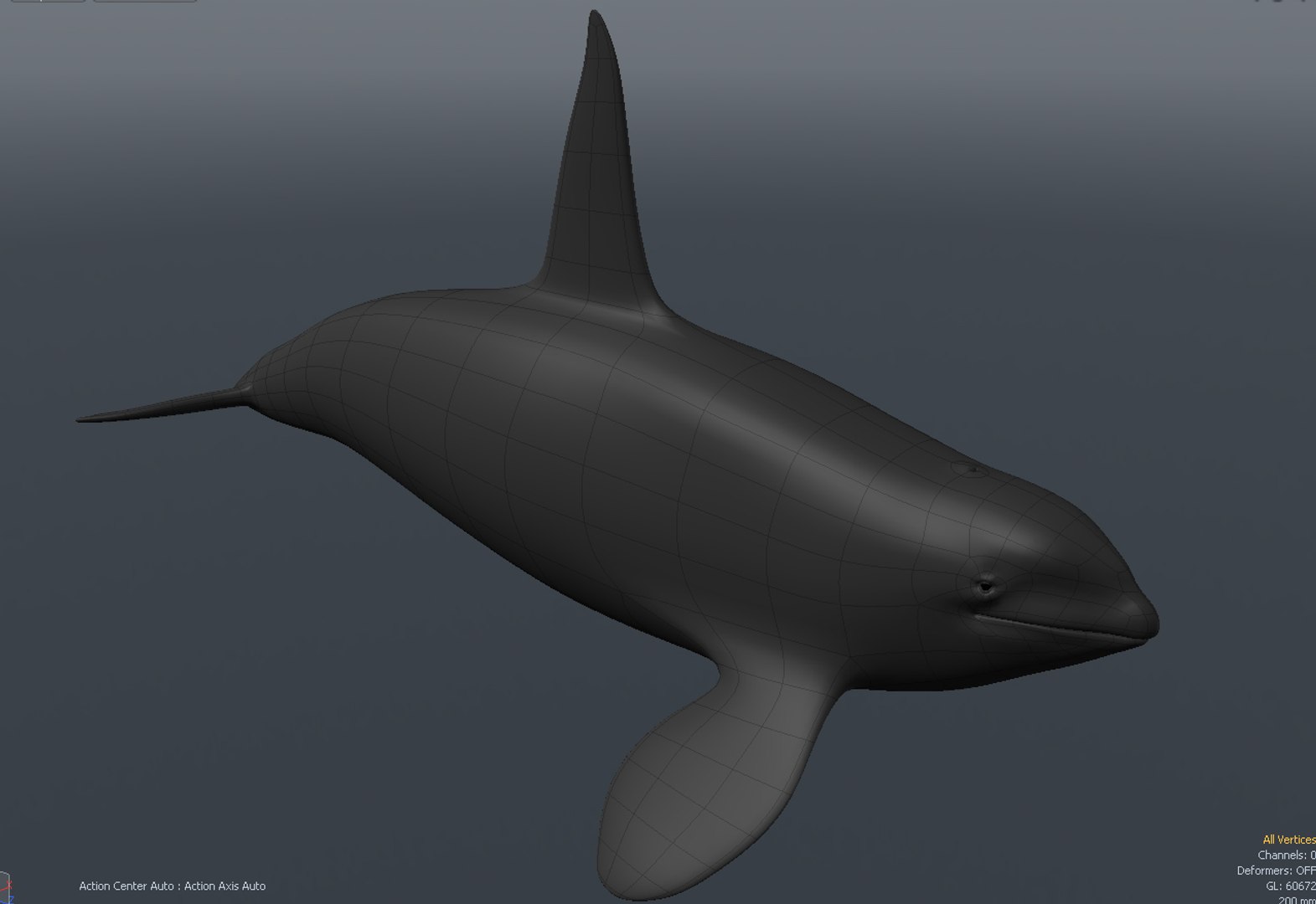 Orca 3d Model