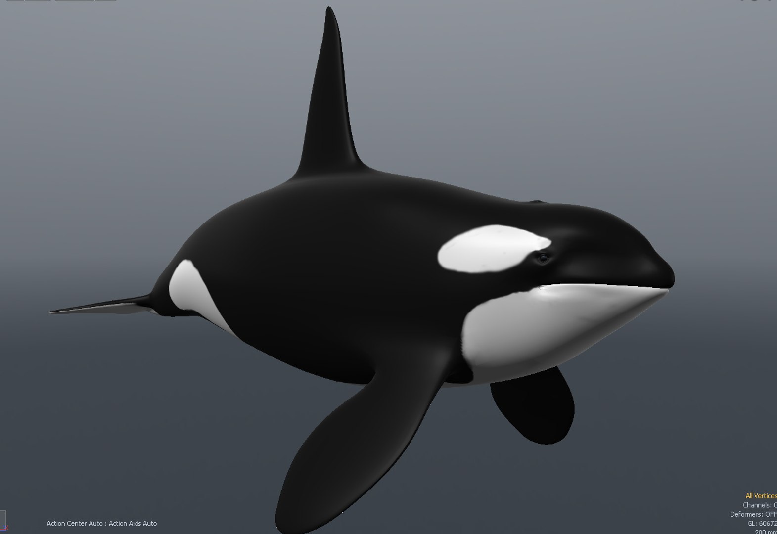 Orca 3d Model