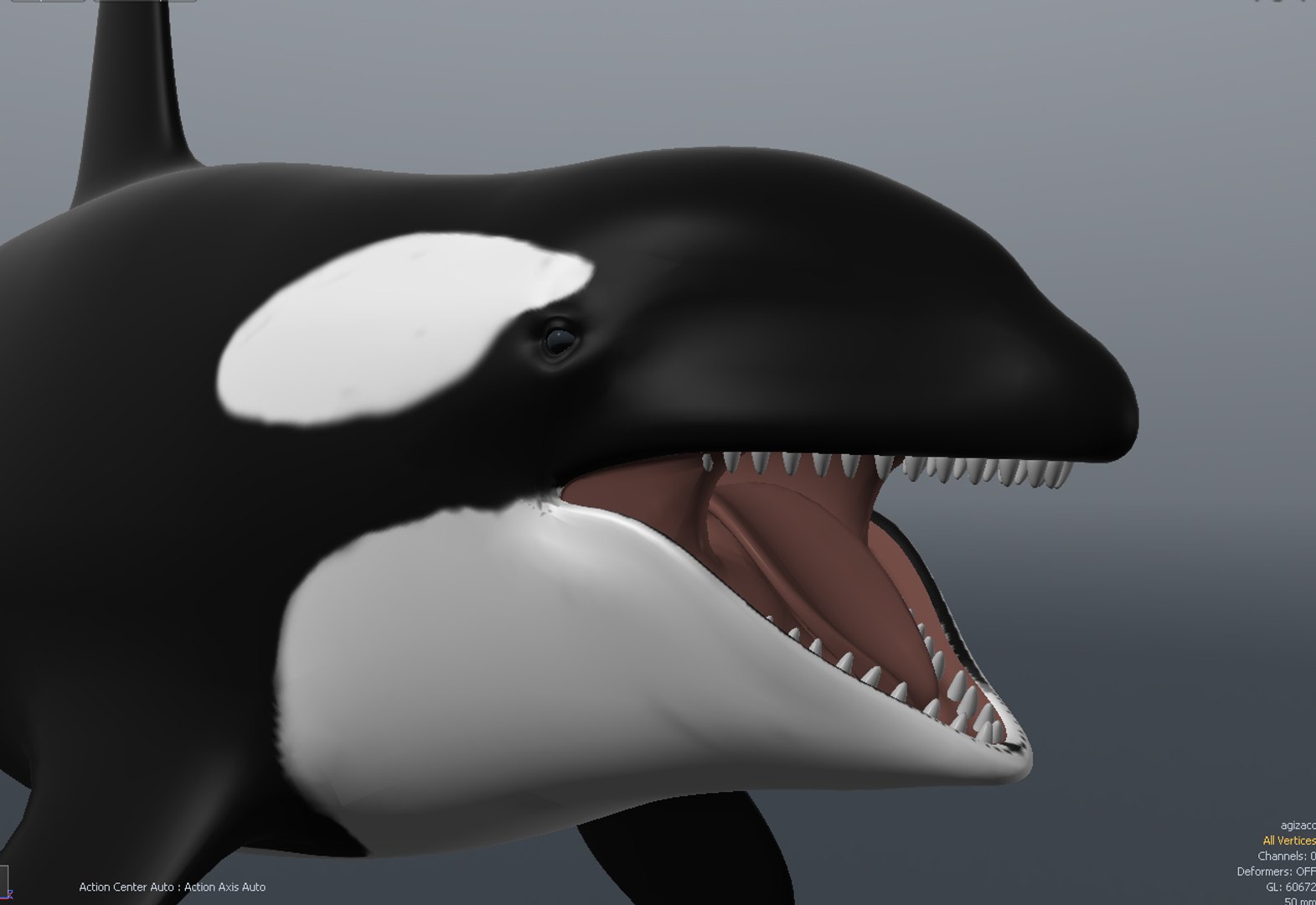 Orca 3d Model