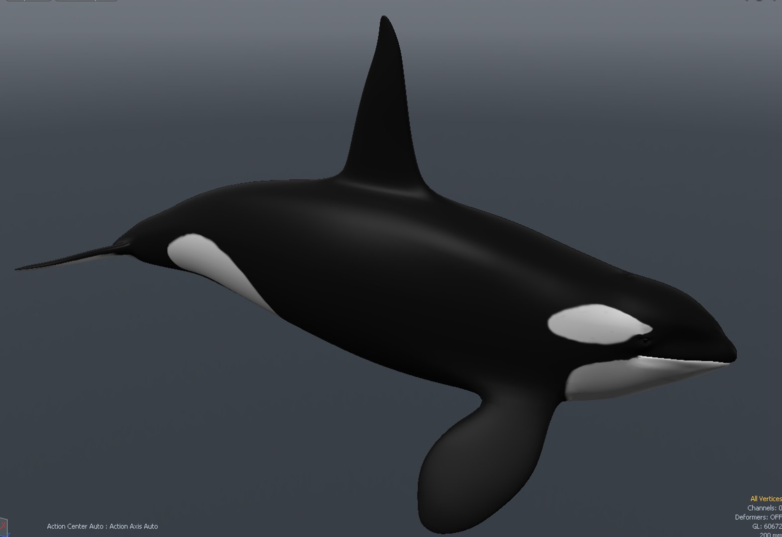 Orca 3d Model