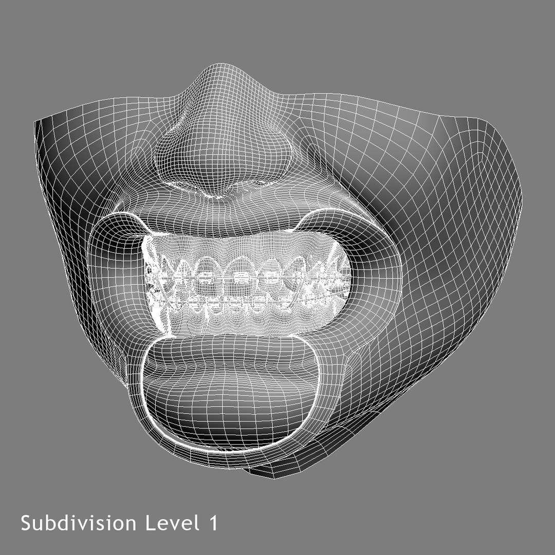 realistic orthodontic anatomy mouth max