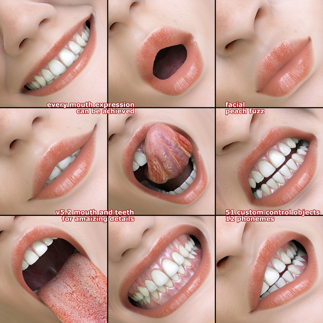 realistic orthodontic anatomy mouth max