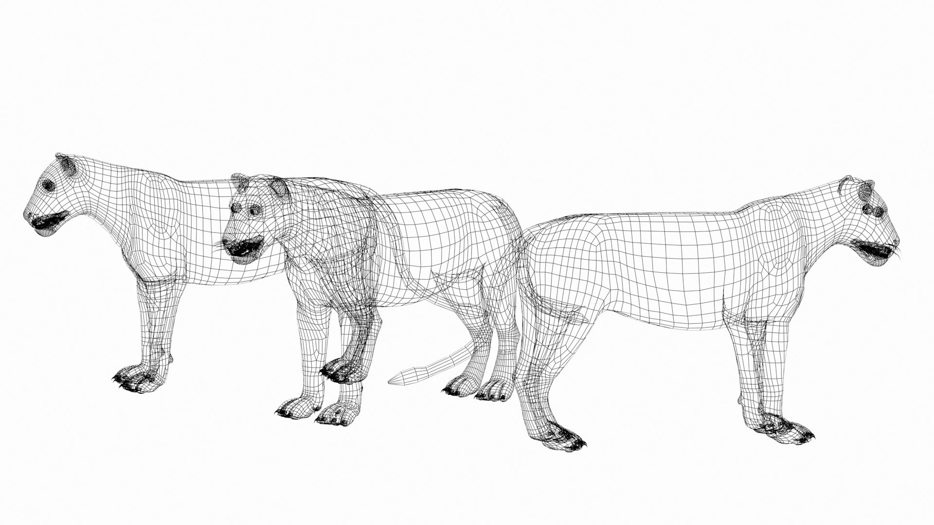 Lioness 3D Model - TurboSquid 1760017