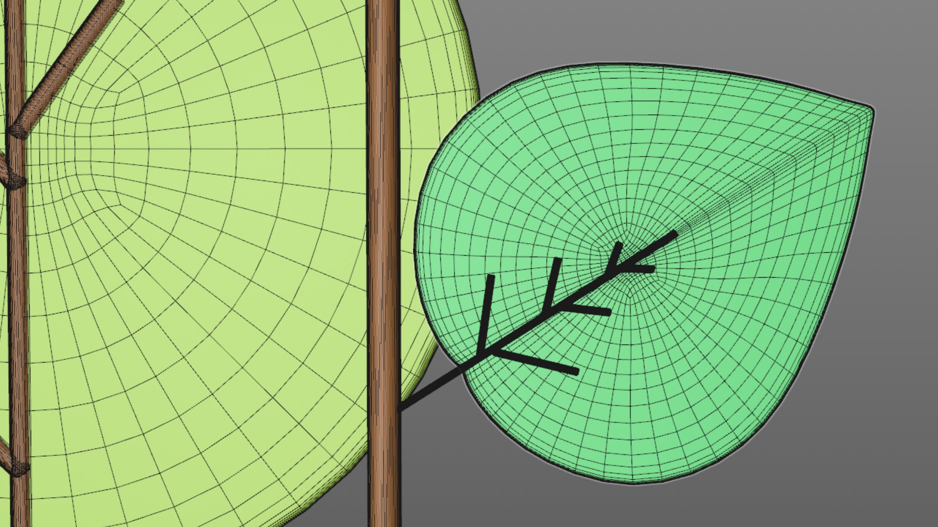 Circle Flower 3D Model - TurboSquid 1949331