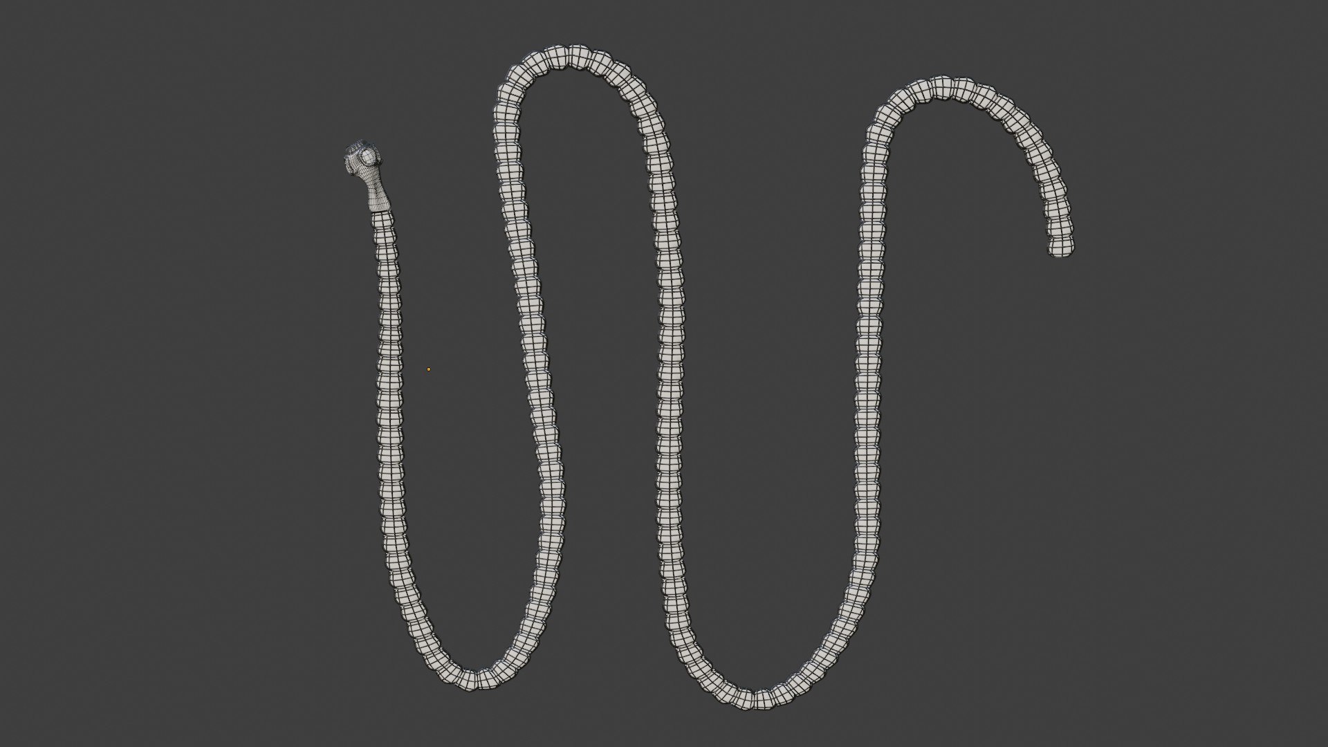 3D Tapeworm - TurboSquid 1688484