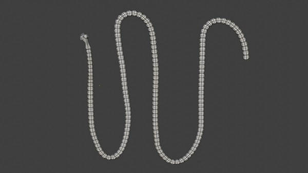 3D tapeworm - TurboSquid 1688484