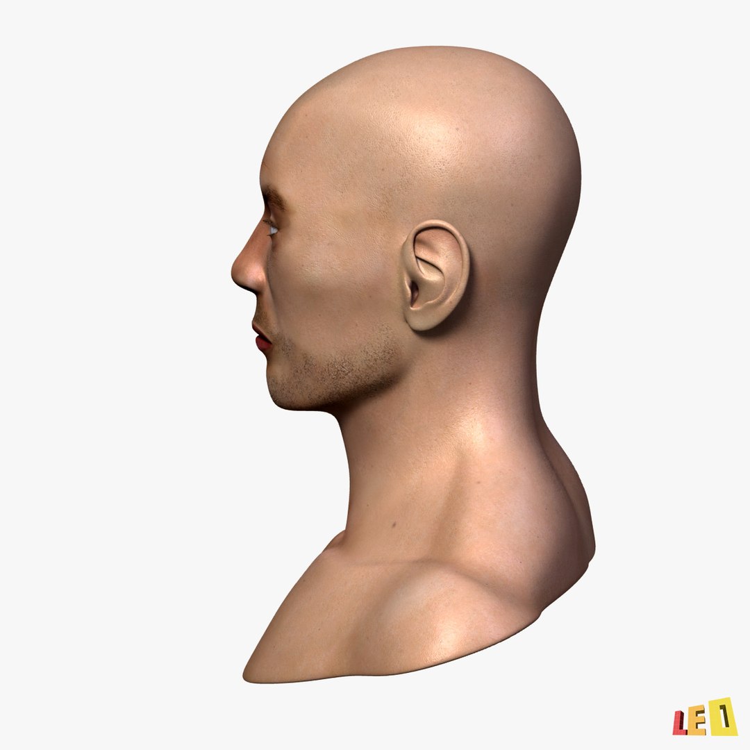 3ds max head anatomy