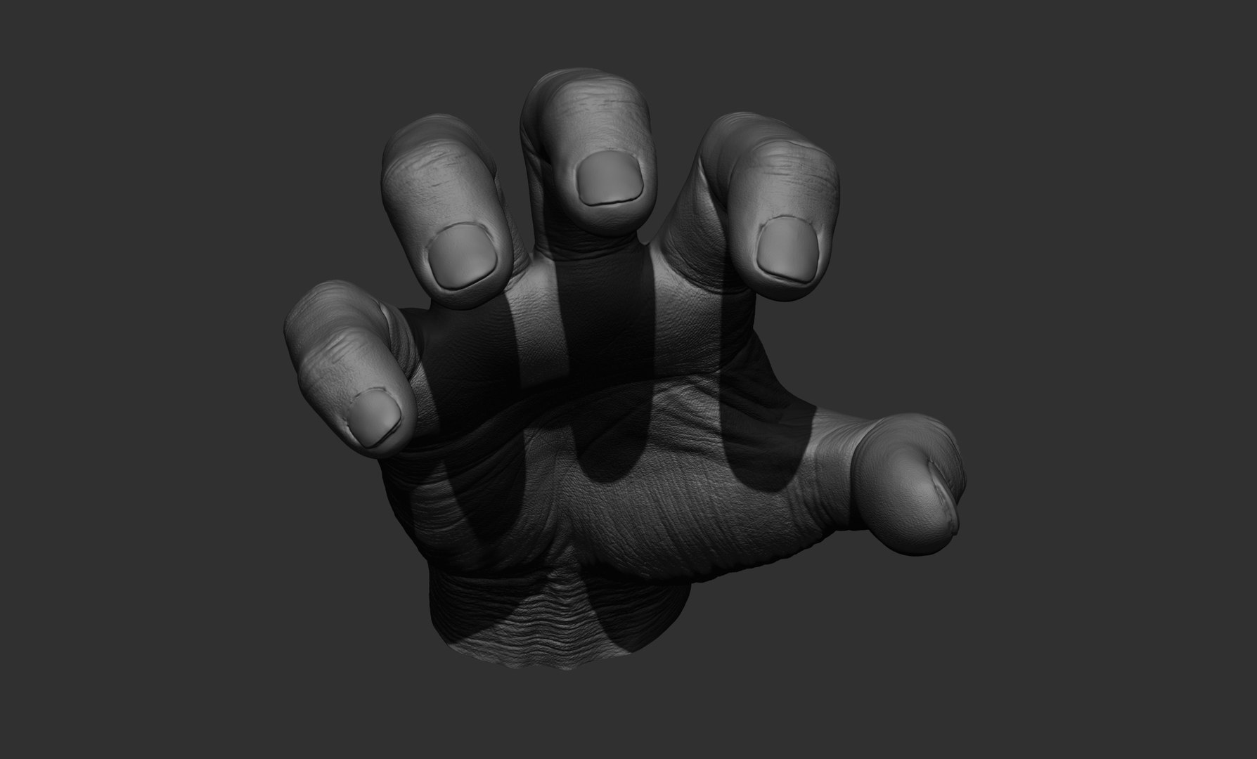 Male Hand Sculpt In 2 Poses 3D Model - TurboSquid 1853721