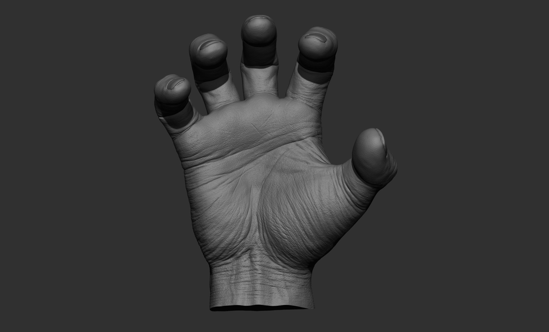 Male Hand Sculpt In 2 Poses 3D Model - TurboSquid 1853721