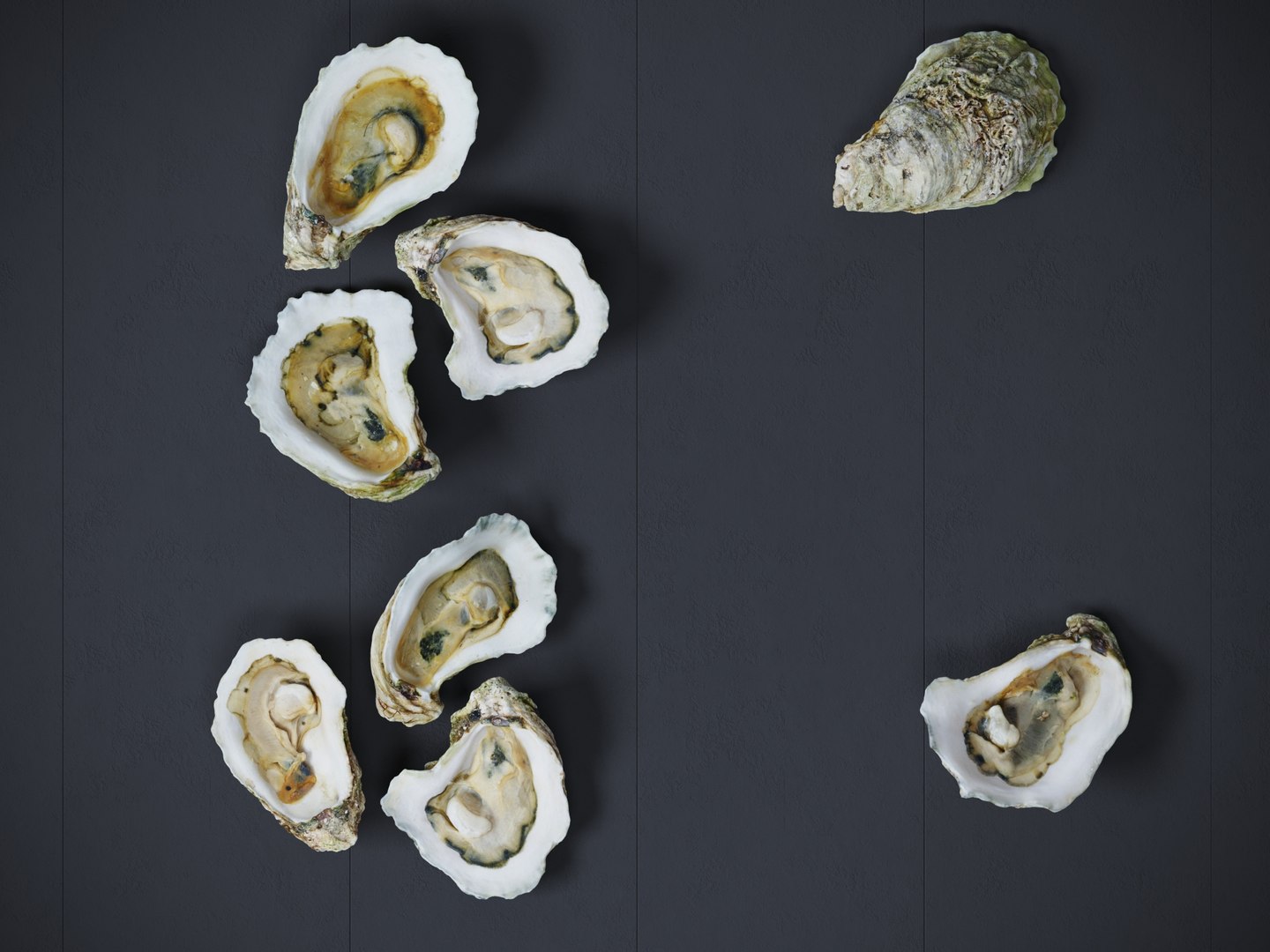 Half Shell Oysters 3D Model - TurboSquid 2092167