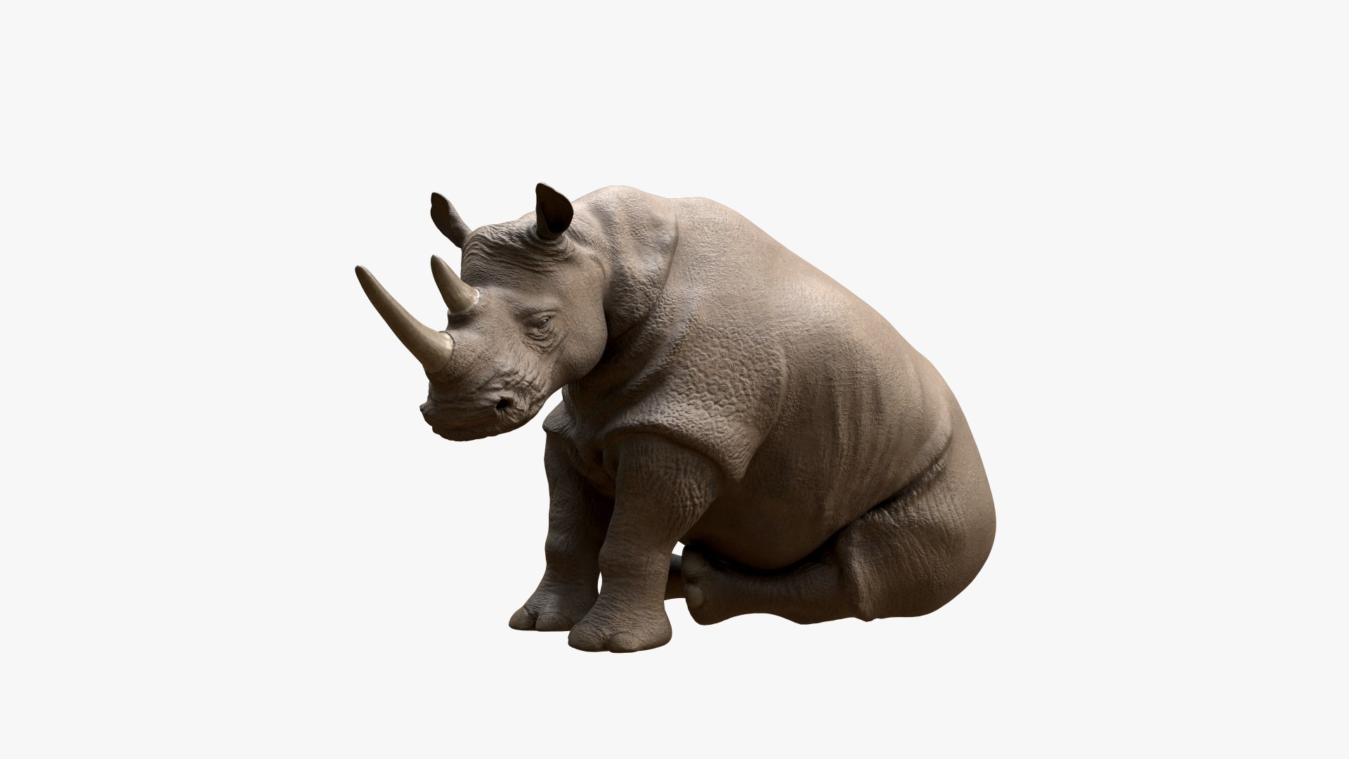 3D Rhino Collection - TurboSquid 1732651