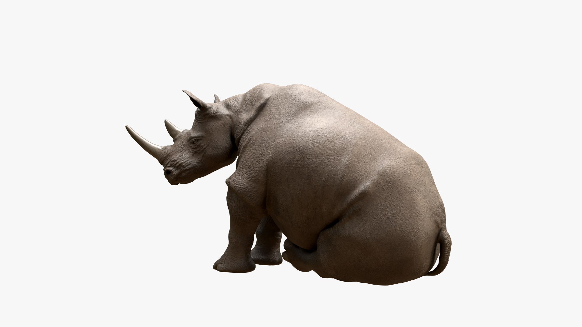 3D Rhino Collection - TurboSquid 1732651