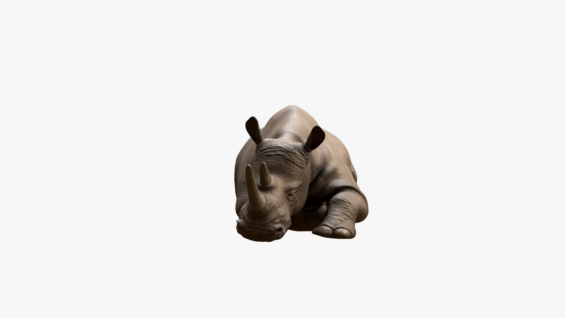 3D Rhino Collection - TurboSquid 1732651