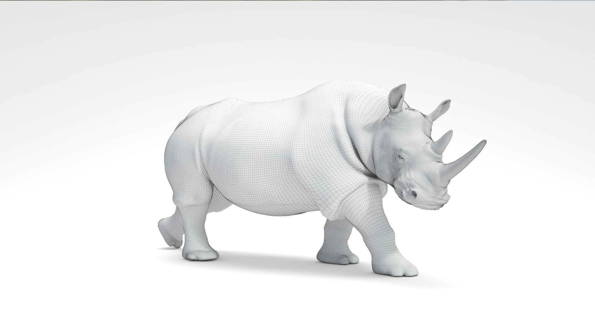 3D Rhino Collection - TurboSquid 1732651