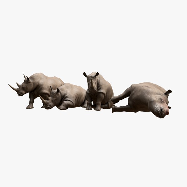 Big rhino animation 3D model - TurboSquid 1344943