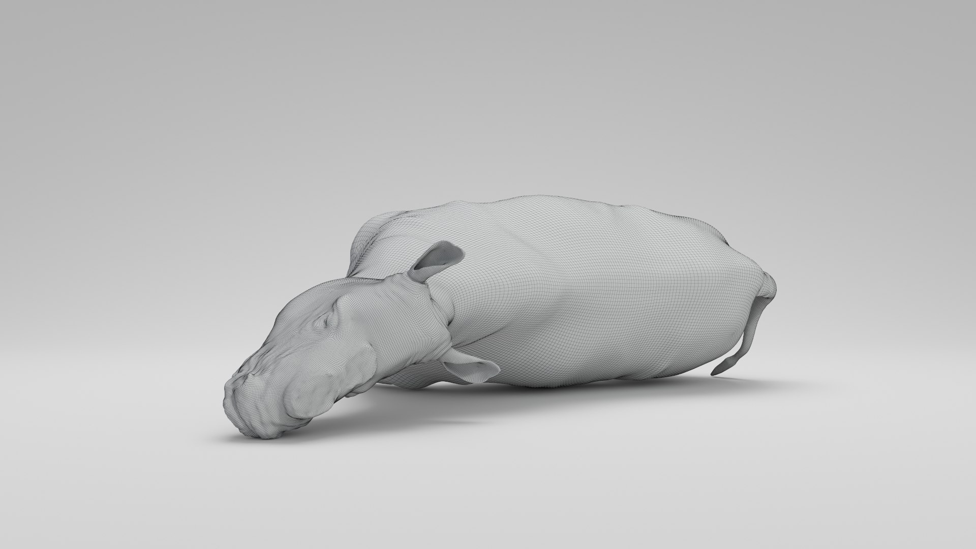 3D Rhino Collection - TurboSquid 1732651