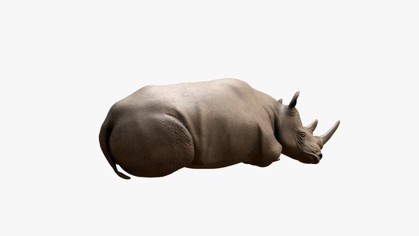 modelo 3d Colección Rhino - TurboSquid 1732651