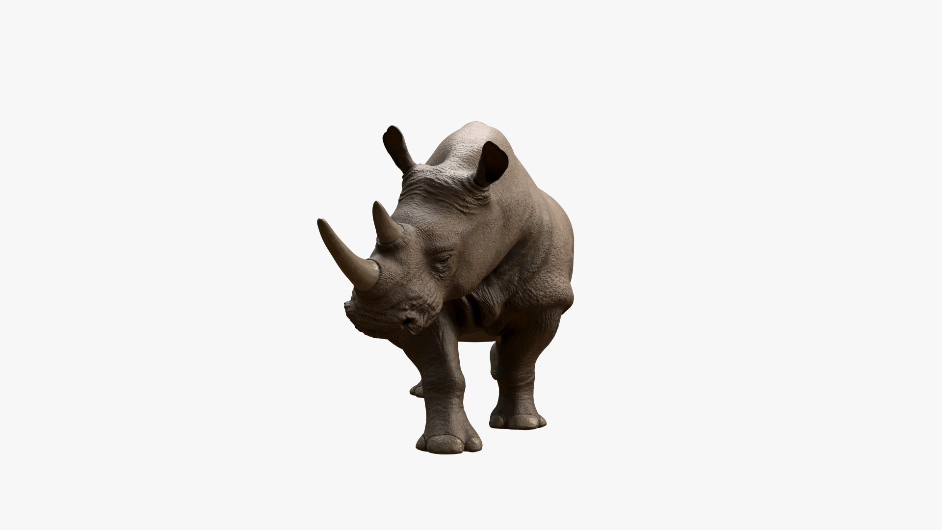 3D Rhino Collection - TurboSquid 1732651