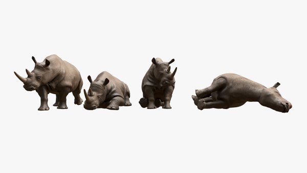 3D Rhino Collection - TurboSquid 1732651