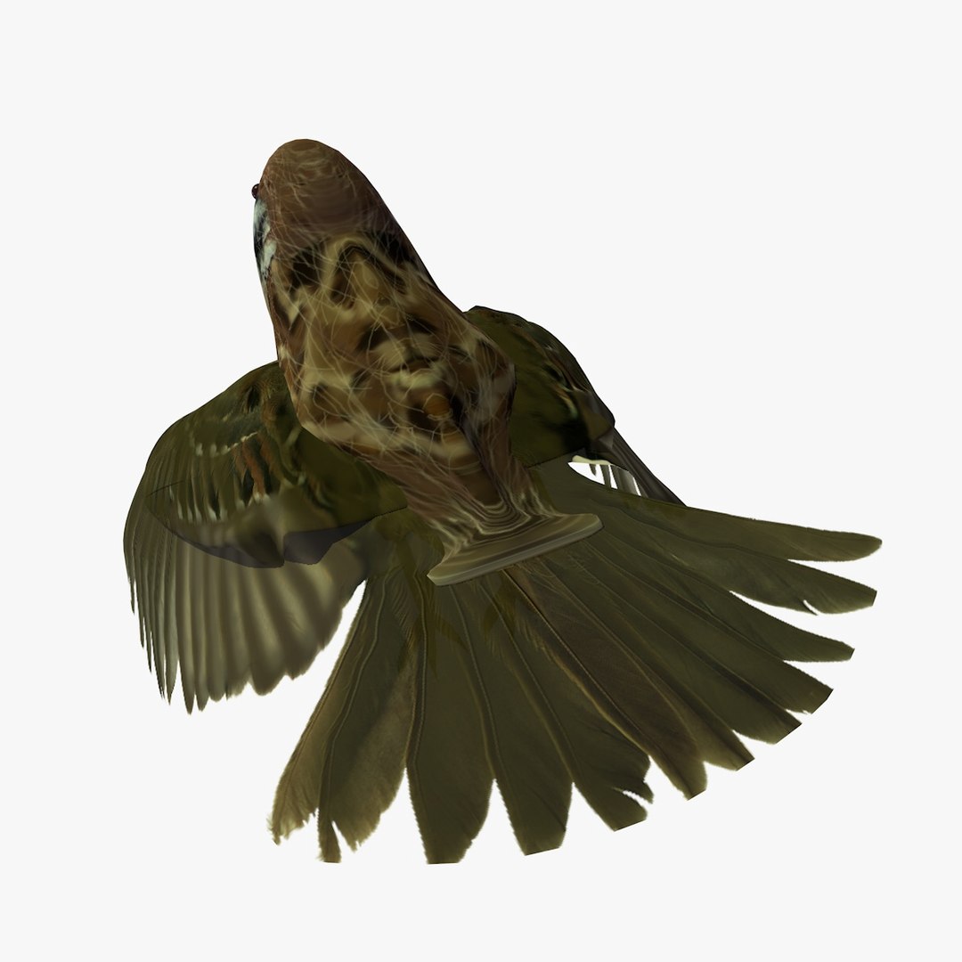 3D Group Sparrows Flying Animation - TurboSquid 1170948