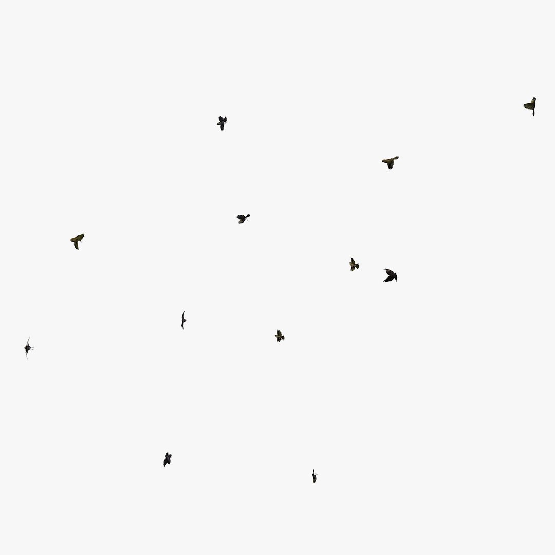 3D Group Sparrows Flying Animation - TurboSquid 1170948